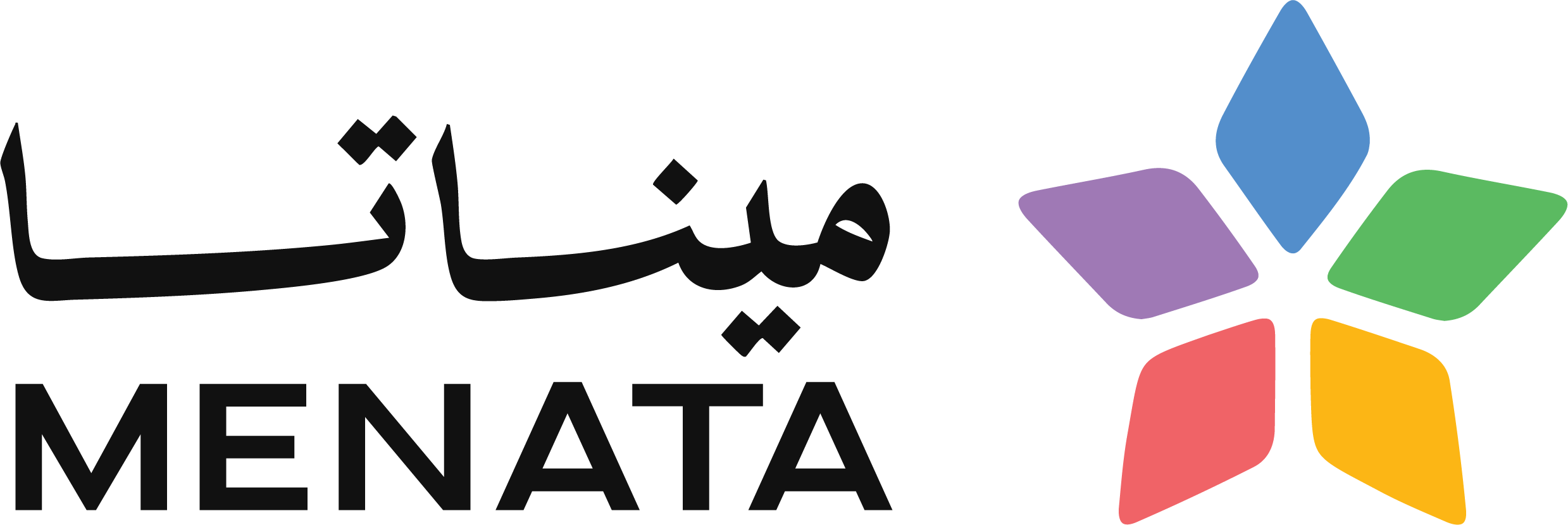 MENATA - Middle East North Africa Trauma Alliance